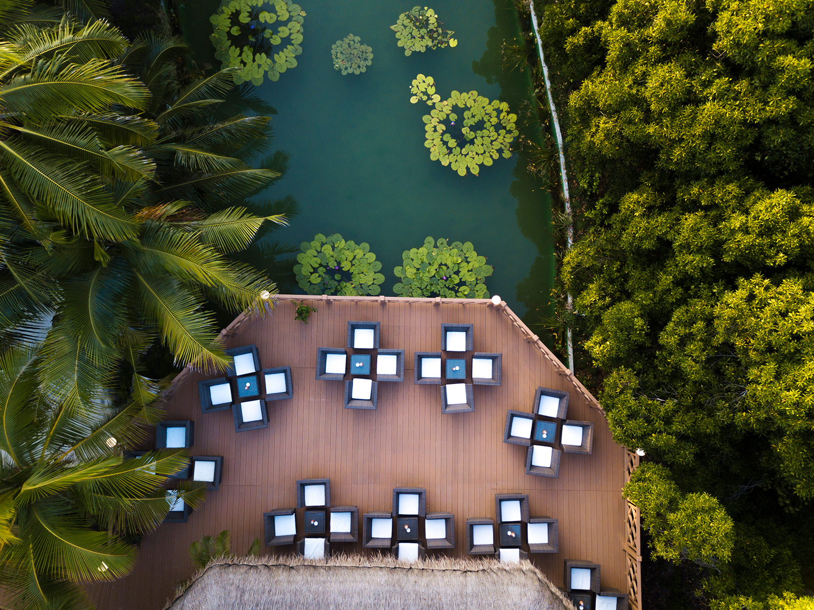 Lake View Bar - Dreamland